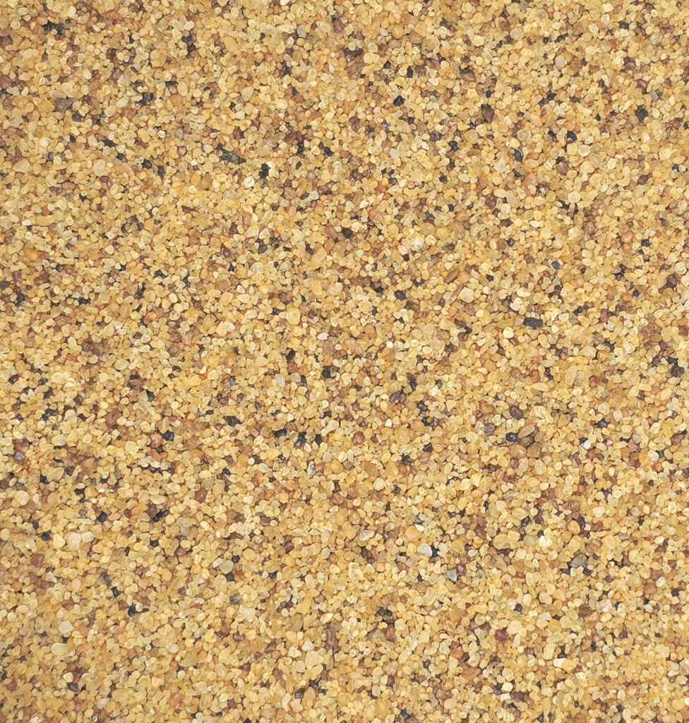 Tan Sand - Teal Tropics