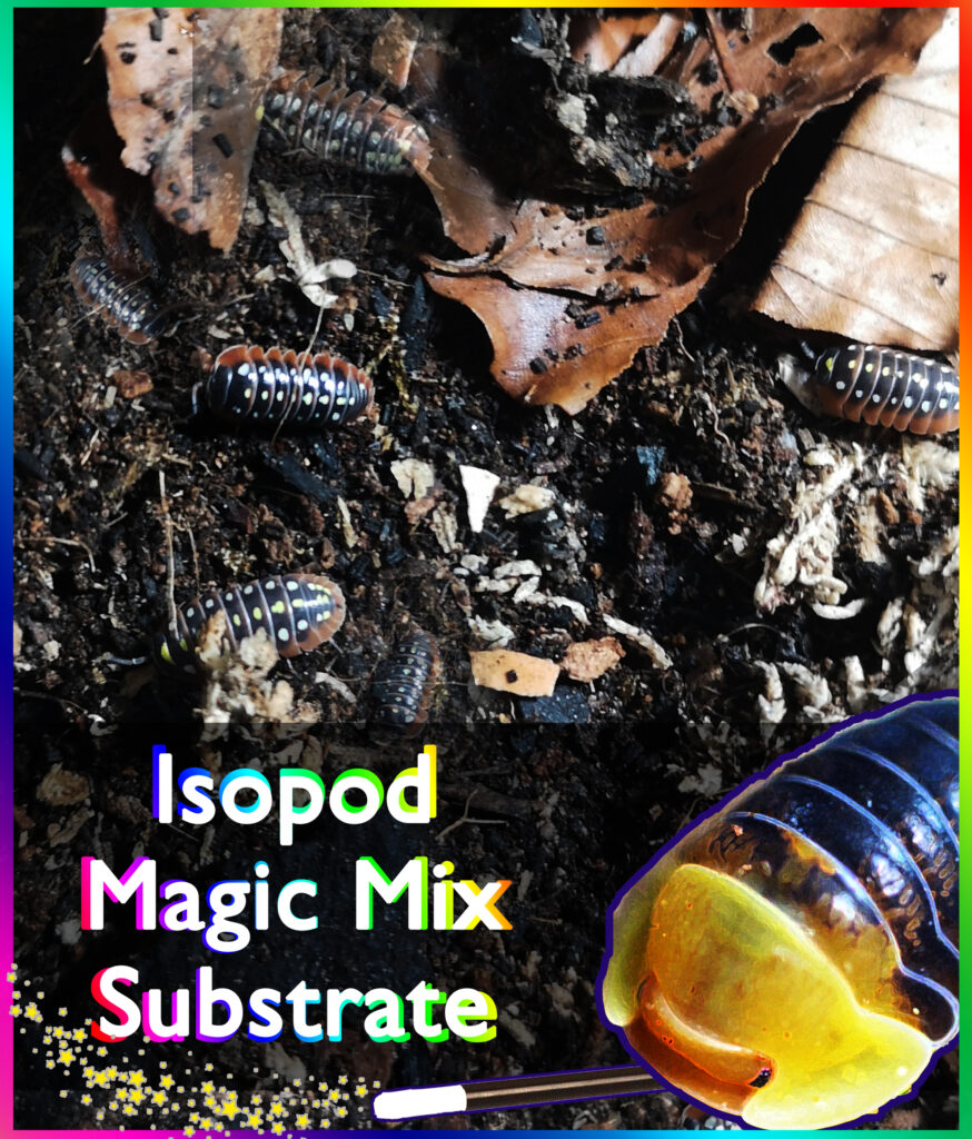 Isopod Magic Mix - Teal Tropics