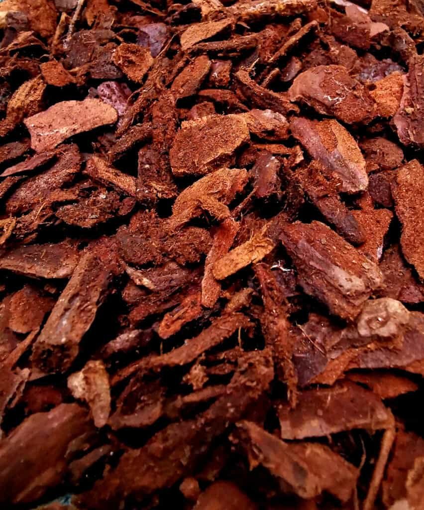 Fine Orchid Bark - Teal Tropics