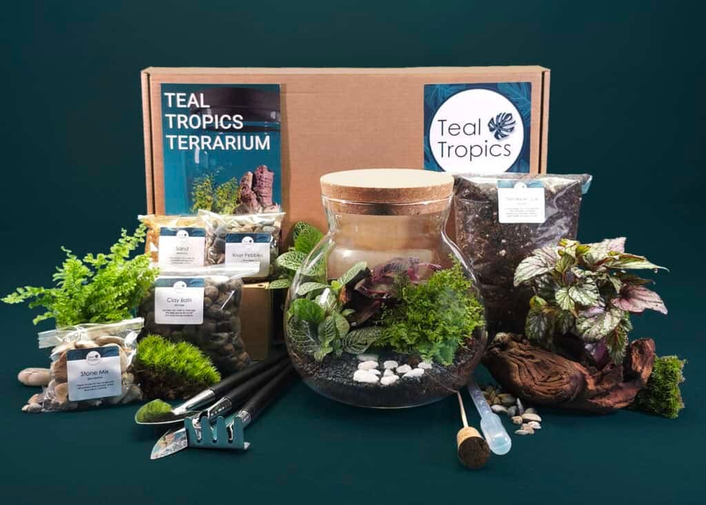 Glass Sphere Terrarium Kit - Teal Tropics